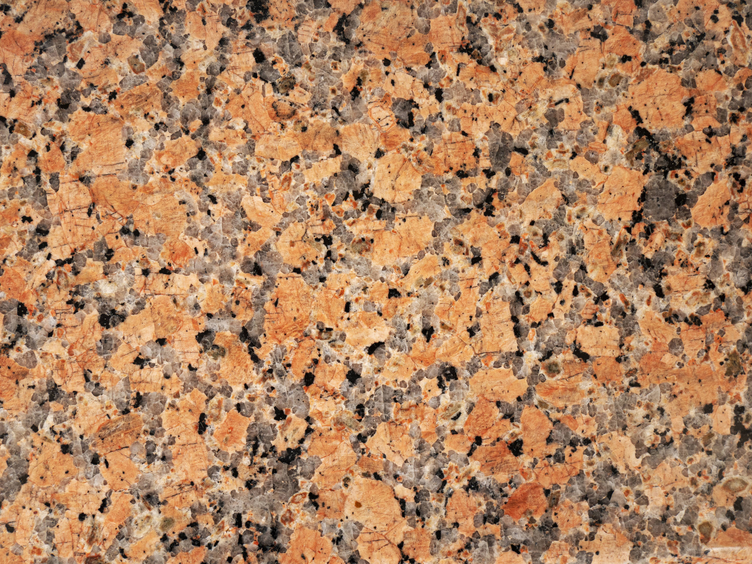 The Ultimate Guide to Quartz and Granite Countertops - Kitchens Rx